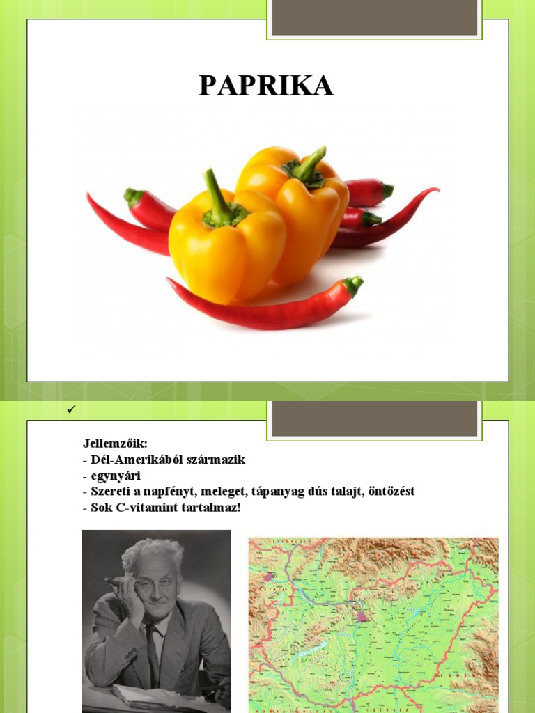 1.3 Paprika, Paradicsom, Káposzta | PDF