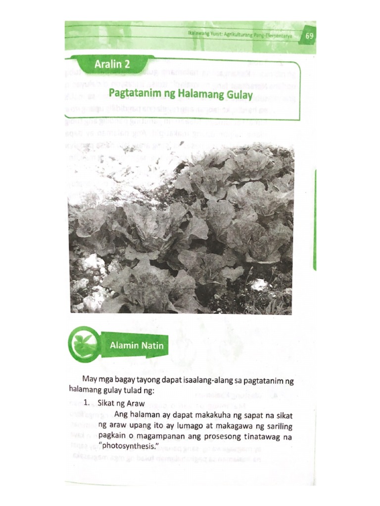 Epp Grade 5 Textbook | PDF