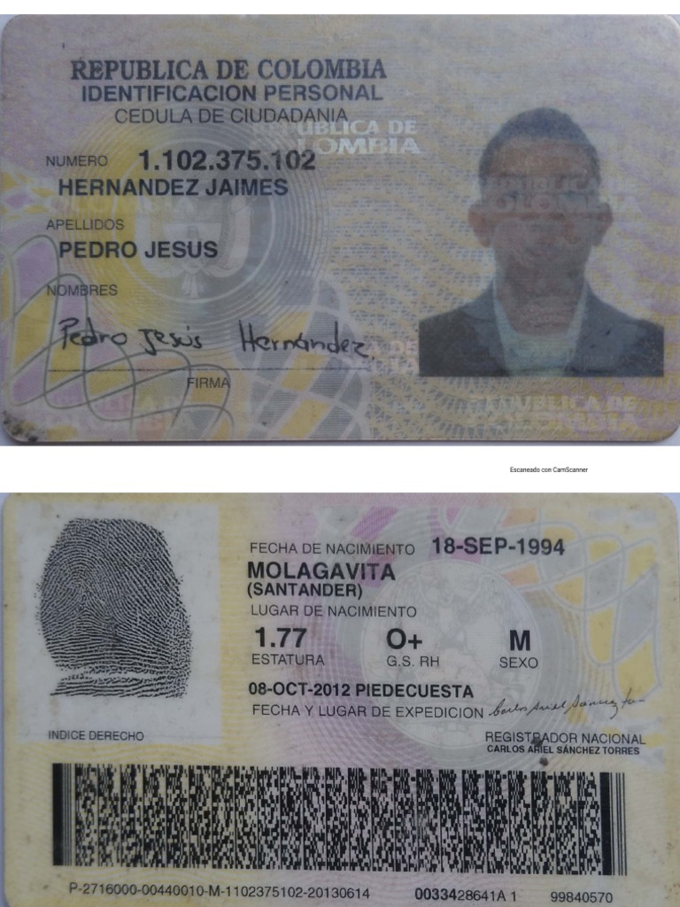 Cedula Pedro Hernandez PDF | PDF