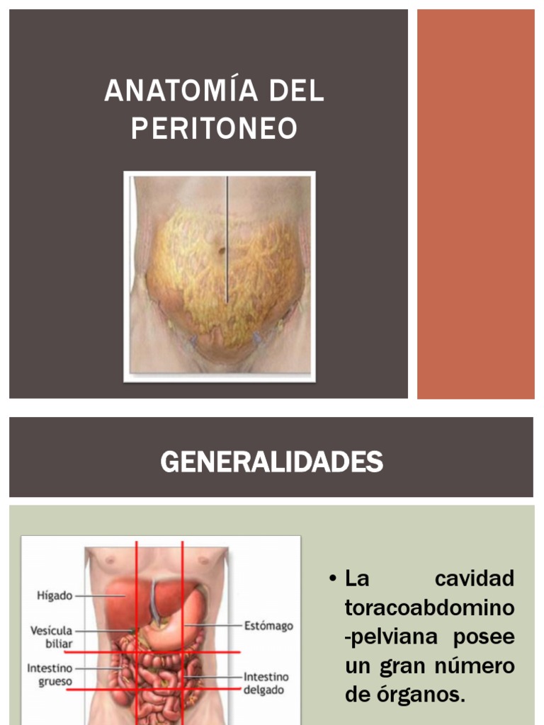 Anatomía y Funciones del Peritoneo | PDF | Abdomen | Peritoneo