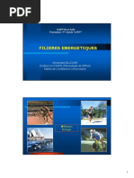 Filières Énergétiques et Physiologie de l'Effort | PDF | Sciences et mathématiques
