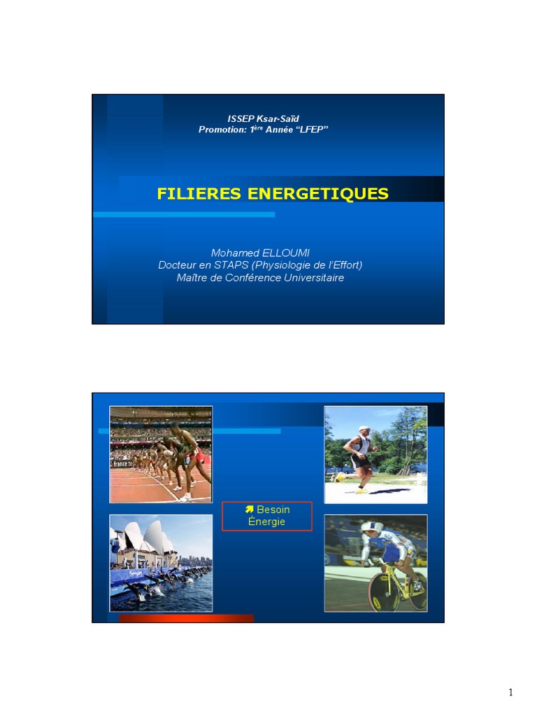 Filières Énergétiques en Physiologie | PDF | Adénosine triphosphate ...