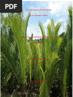 Modequllo-Rationale The Effectiveness of Talisay Resin As Alternative ...