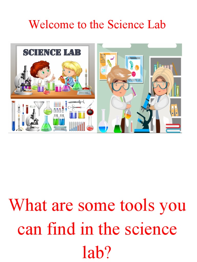 Welcome To The Science Lab | PDF