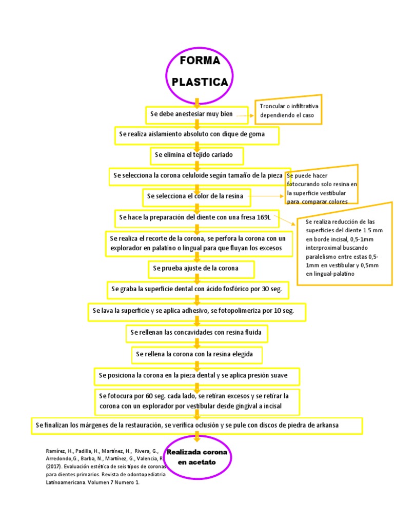 Forma Plastica | PDF | Boca | Ramas de Odontología