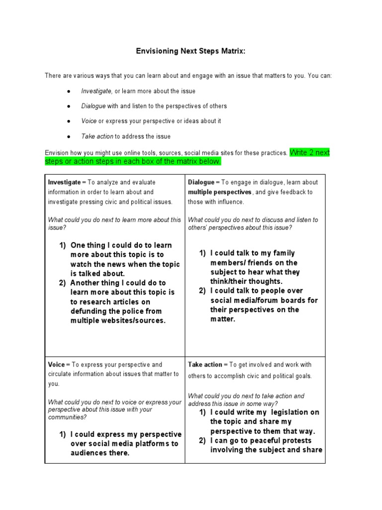 Envisioning Next Steps Matrix | PDF | Social Media | Popular Culture ...