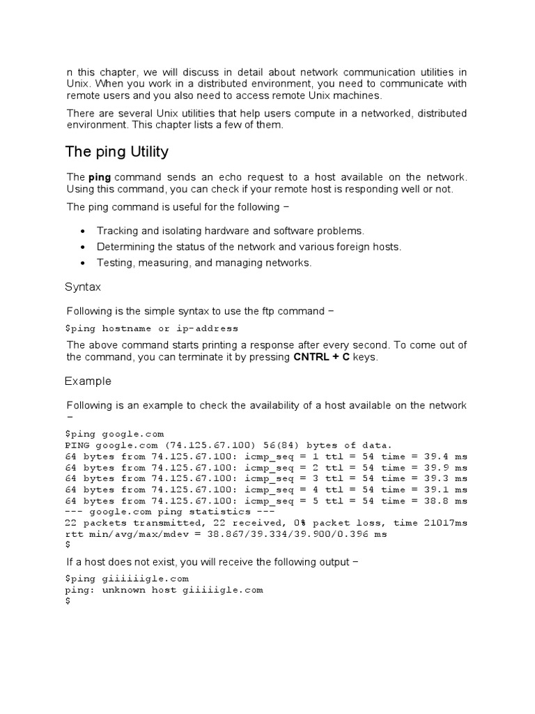 The Ping Utility: Syntax | PDF