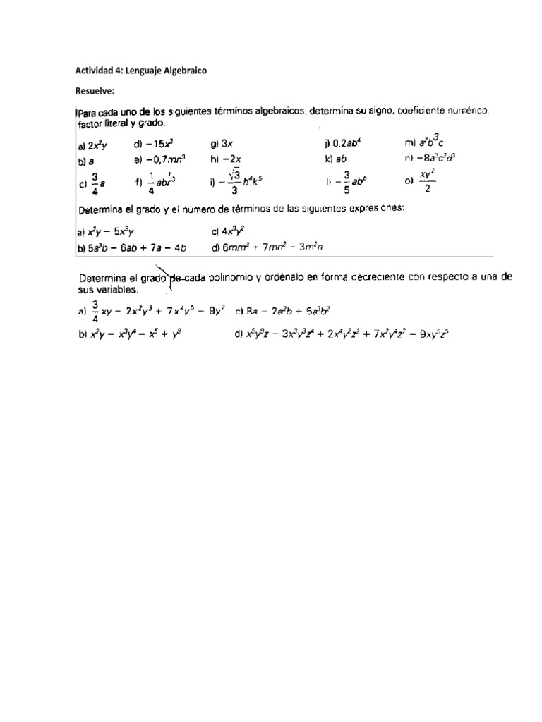Actividad 4 Lenguaje Algebraico | PDF