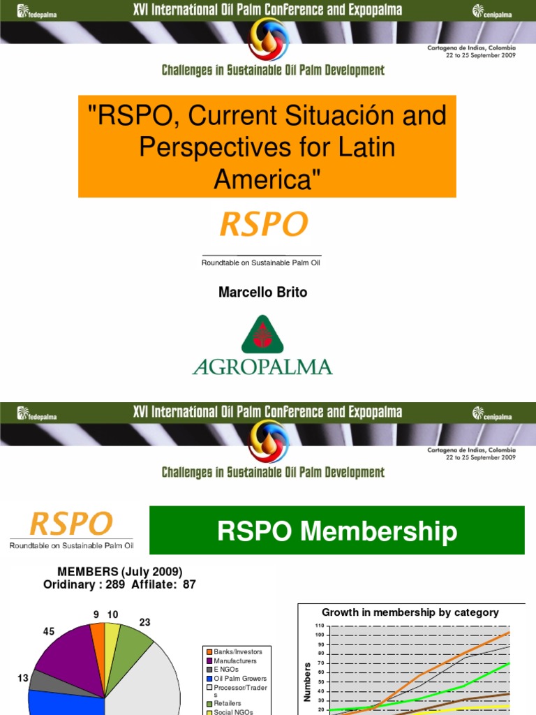 M3-12. - Marcello Brito - RSPO | PDF | Palm Oil | Audit