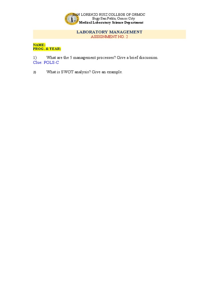 ARNELLE MARIE GERMITA - LABMAN Assign2 | PDF