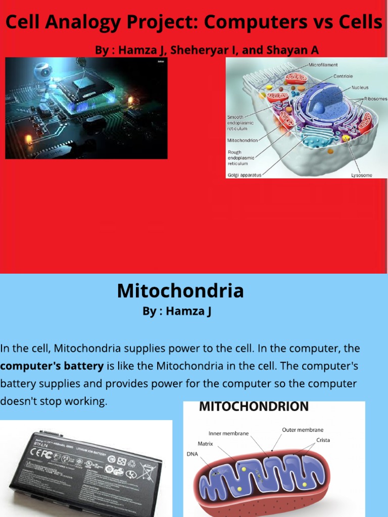 Cell Analogy Project - Computers | PDF | Cell Nucleus | Cell (Biology)
