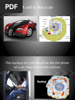Cell Analogy Project - Computers | PDF | Cell Nucleus | Cell (Biology)