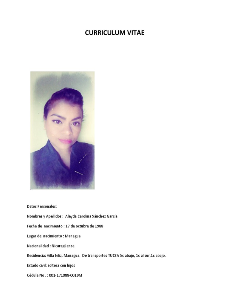 CURRICULUM VITAE Aleyda | PDF