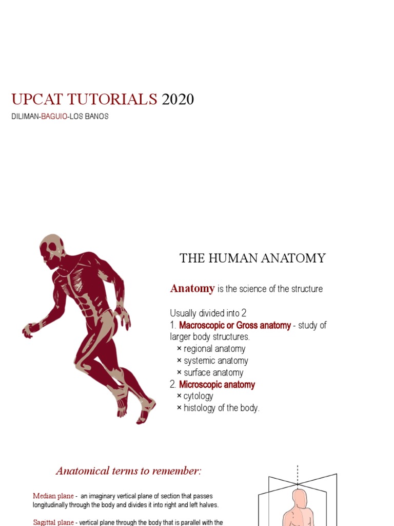 Upcat Tutorials: Baguio | PDF | Anatomical Terms Of Location | Human Body