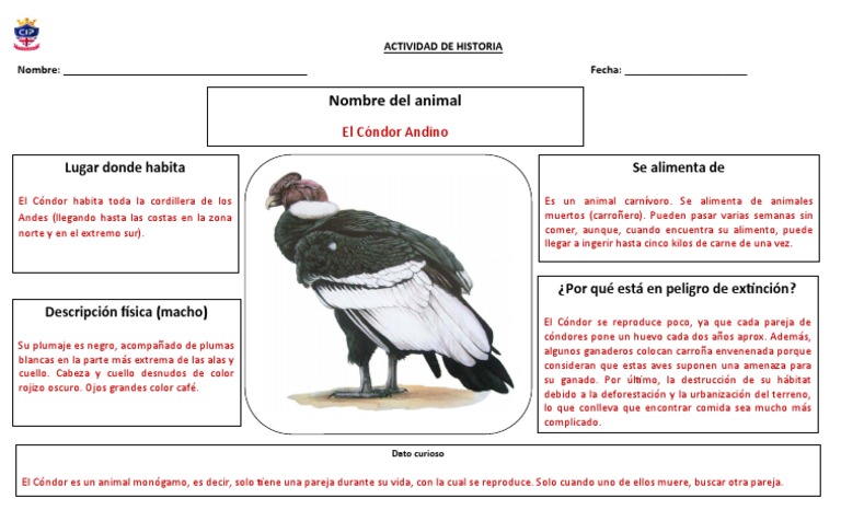 2° Ciencias (Organizador) | PDF | Aves | Paravianos