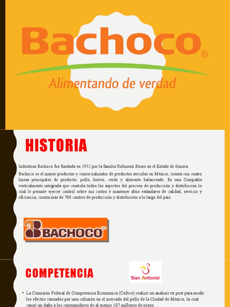 Bachoco | PDF