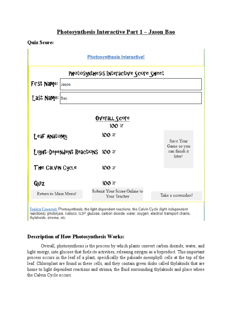 Photosynthesis Interactive Part 1 | Download Free PDF | Photosynthesis ...