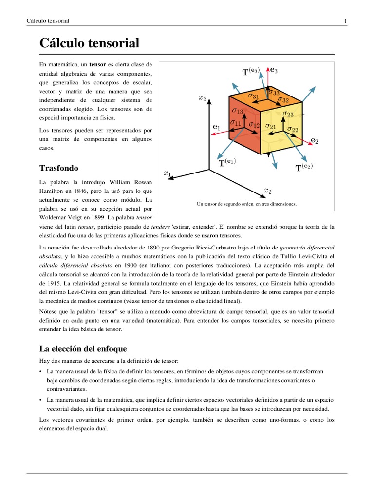 Calculo Tensorial (Intro) | PDF | Espacio vectorial | Álgebra