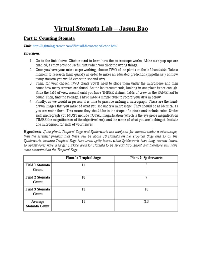 Virtual Stomata Lab | PDF | Humidity | Evaporation