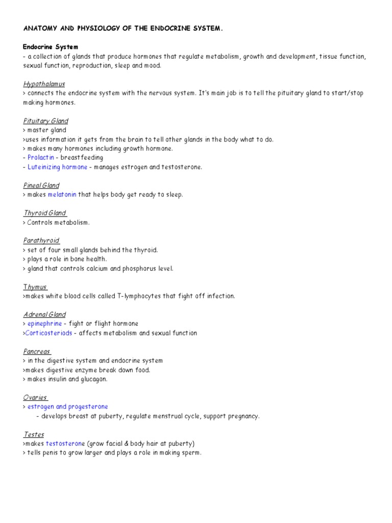 Anatomy and Physiology of The Endocrine System | PDF