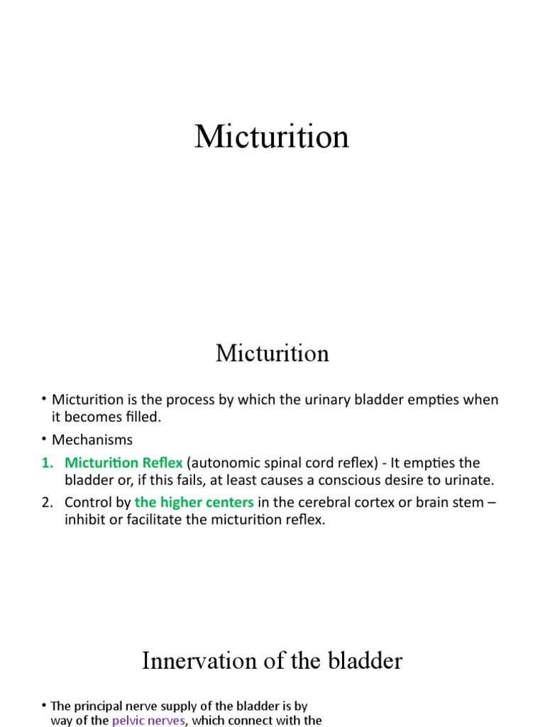 Micturition | PDF | Urination | Urinary Bladder
