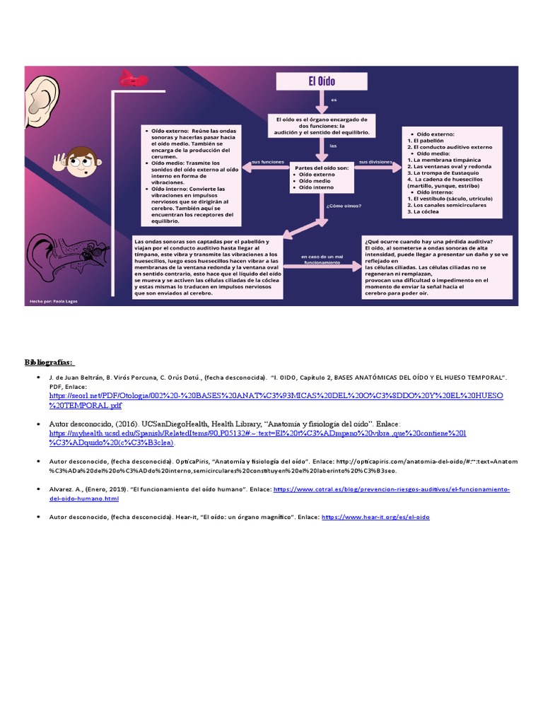 Mapa Conceptual Del Oido | PDF