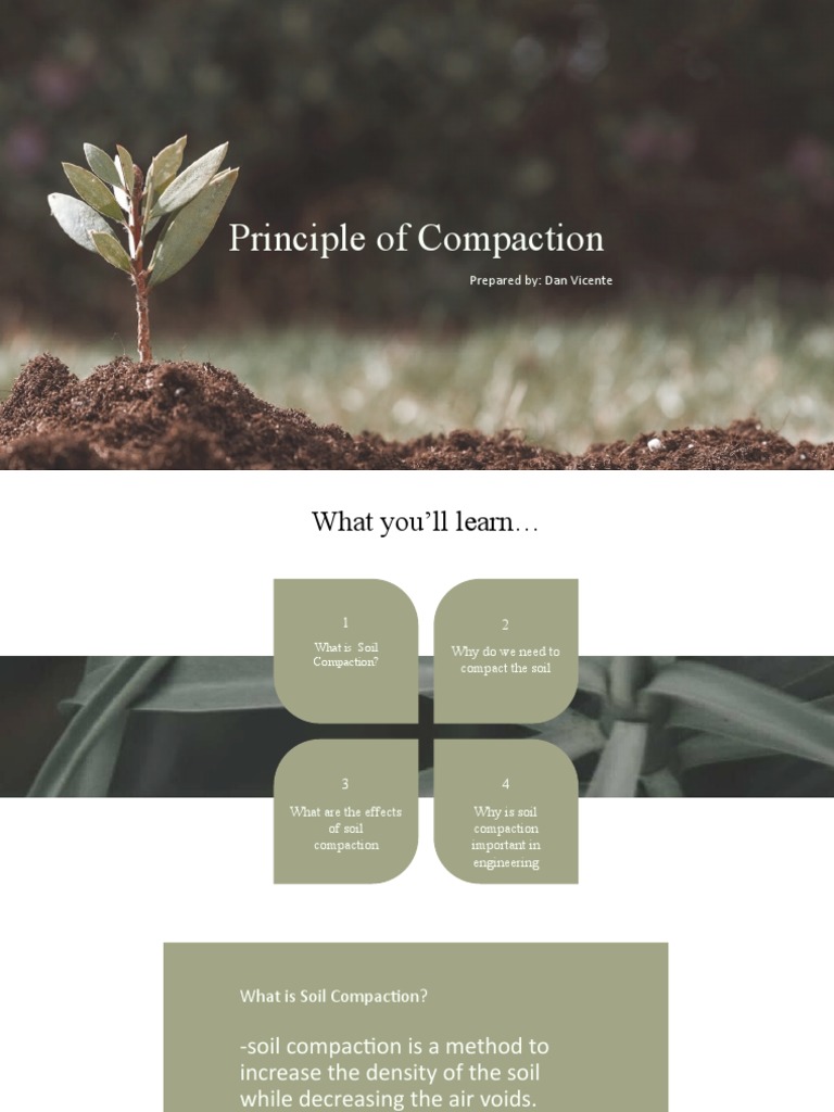 Principle of Compaction | PDF