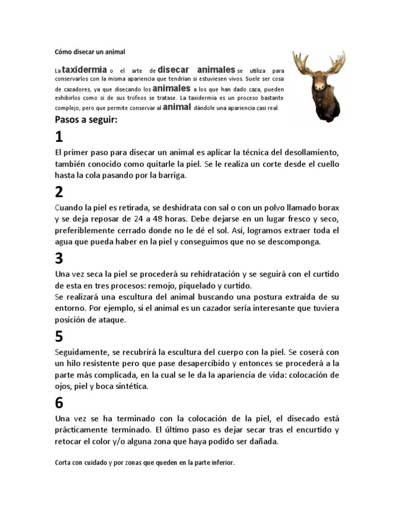 Cómo Disecar Un Animal | PDF