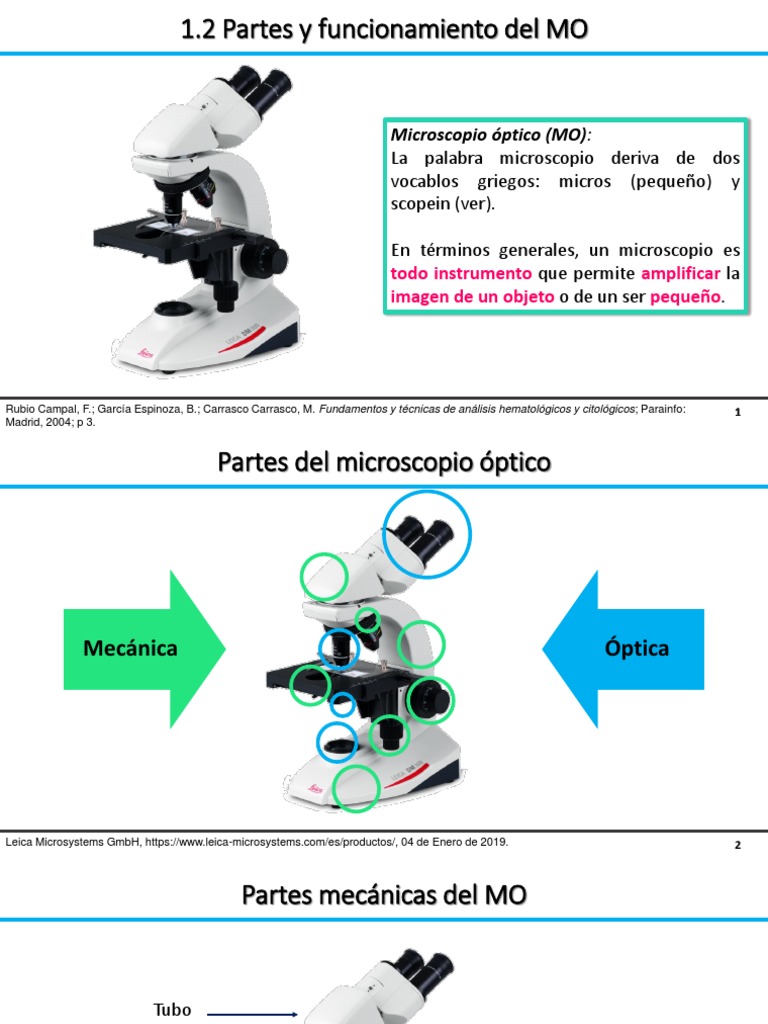 Microscopio Óptico | PDF | Óptica | Ojo