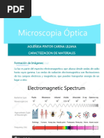 Cledium 300 mg: Uso y Composición | PDF | Osteoartritis | Medicamentos ...