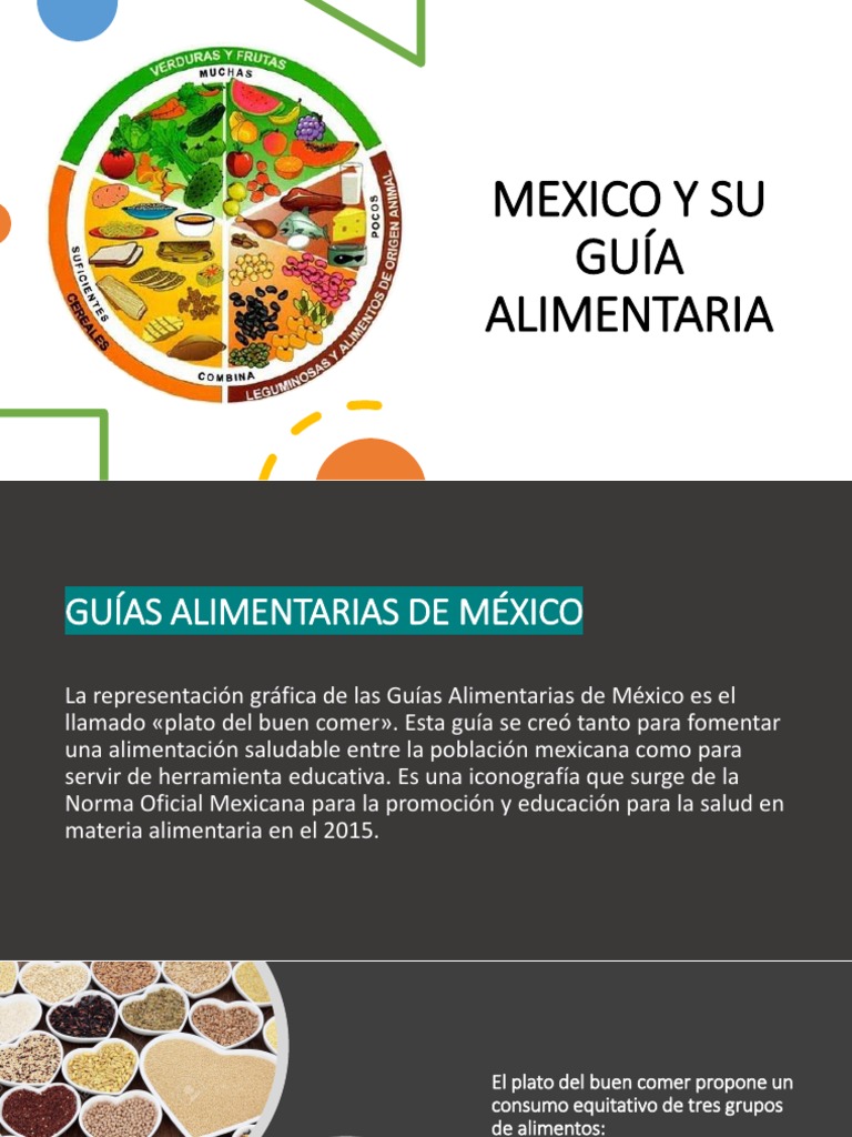 Guía Alimentaria De México 2025 Pdf