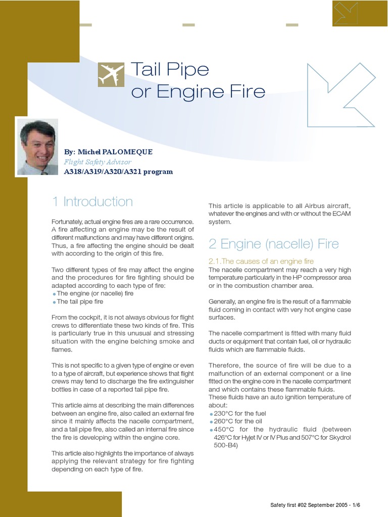 Tail Pipe or Engine Fire: By: Michel PALOMEQUE A318/A319/A320/A321 ...