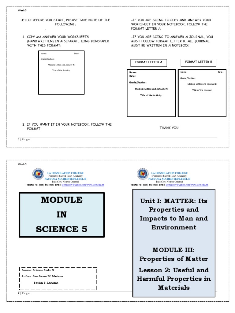 Week 3: Format Letter A Format Letter B | PDF | Science | Science And ...