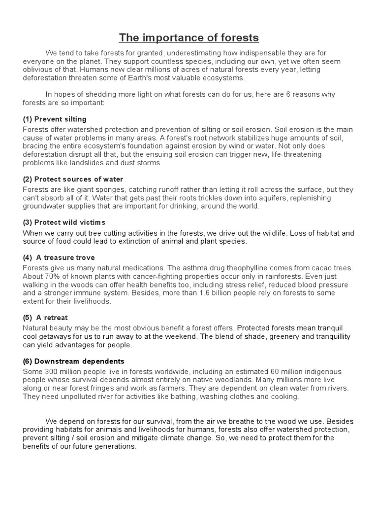 The Importance of Forests | PDF | Deforestation | Forests