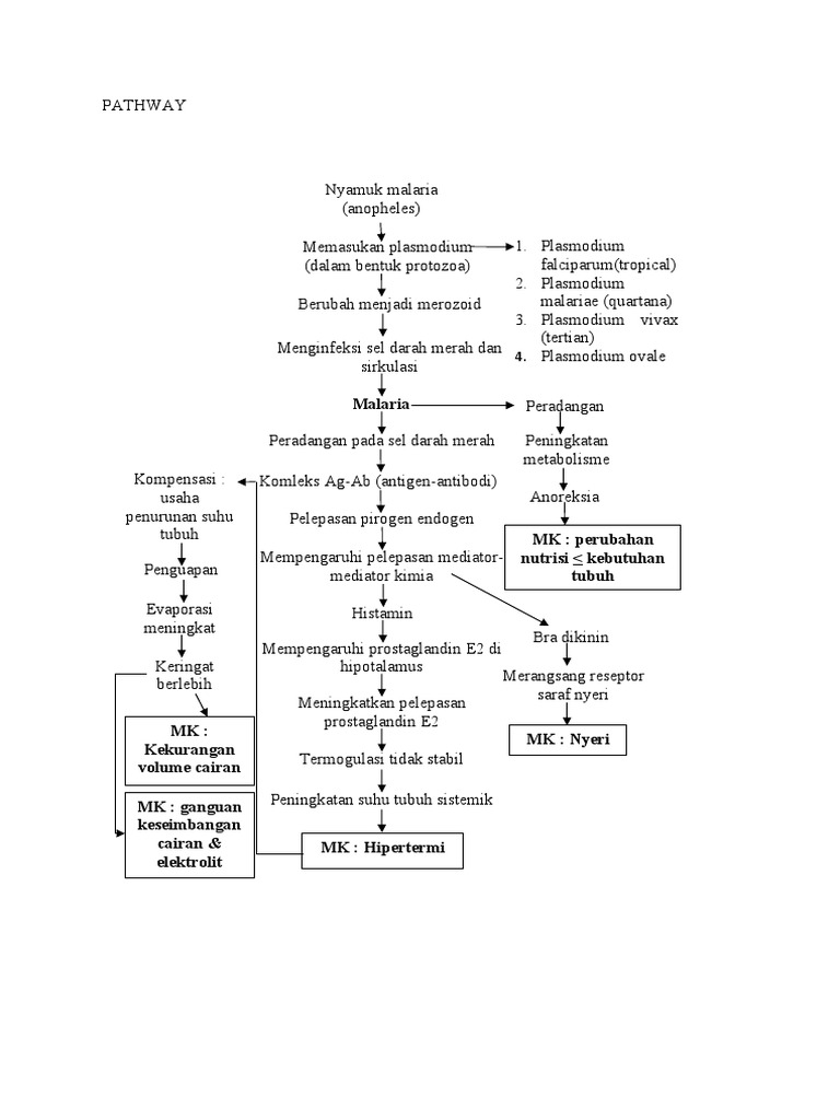 Pathway Malaria | PDF