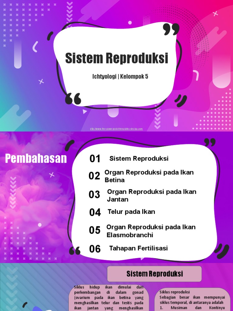 Organ Reproduksi Ikan: Jantan dan Betina | PDF