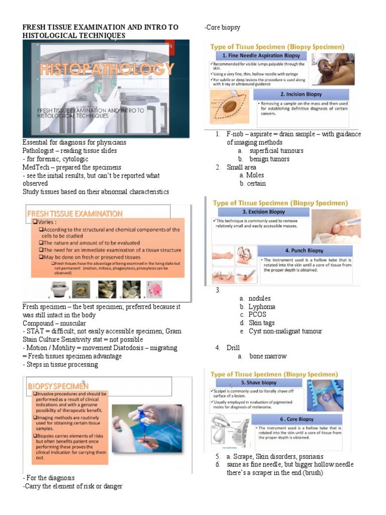 Histo - Fresh Tissue Examination and Intro To Histological Techniques ...
