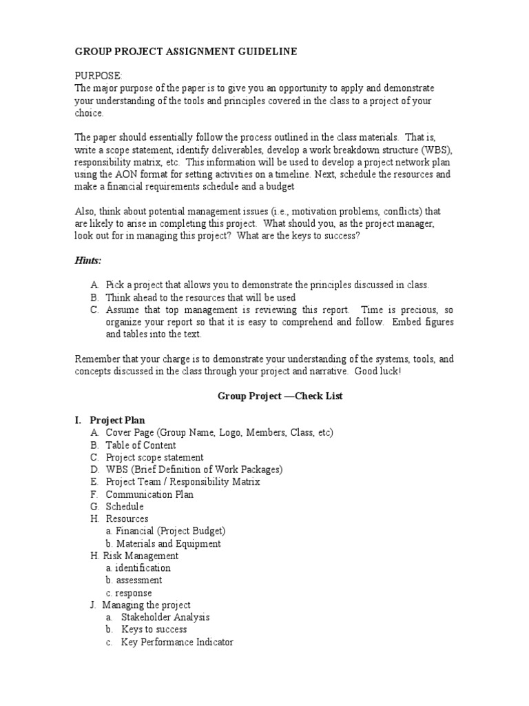 Group Project Assignment Guideline: Hints | PDF