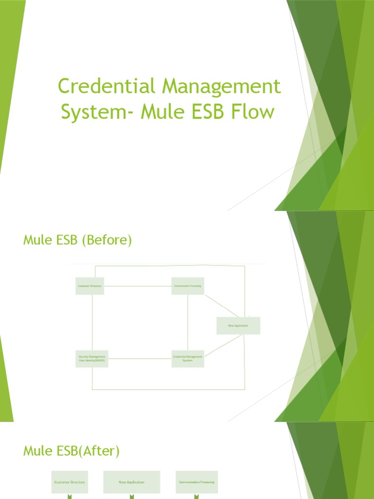 Credential Management System-Mule ESB Flow | PDF