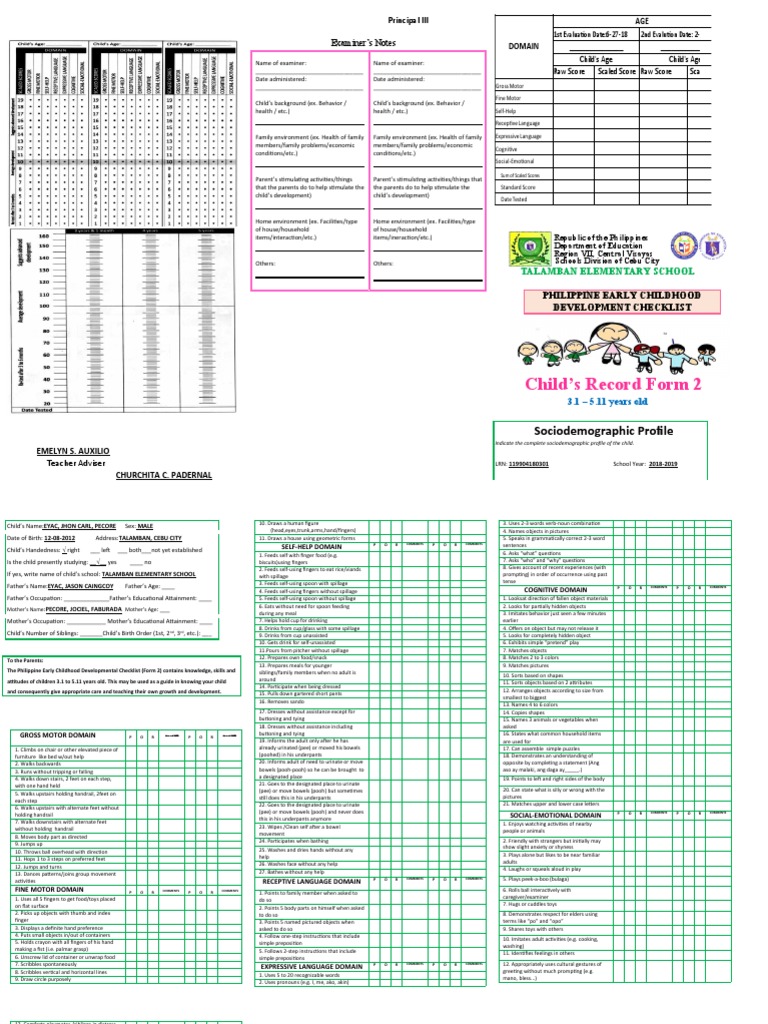 Child's Record Form 2: Principal III Examiner's Notes | PDF ...