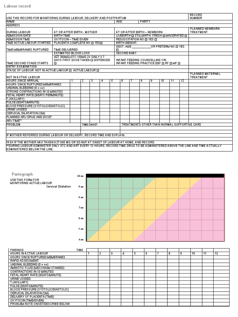 Labour Record | PDF | Childbirth | Women's Health