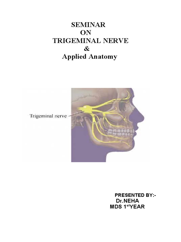 Anatomy and Functions of the Trigeminal Nerve: A Comprehensive Overview ...