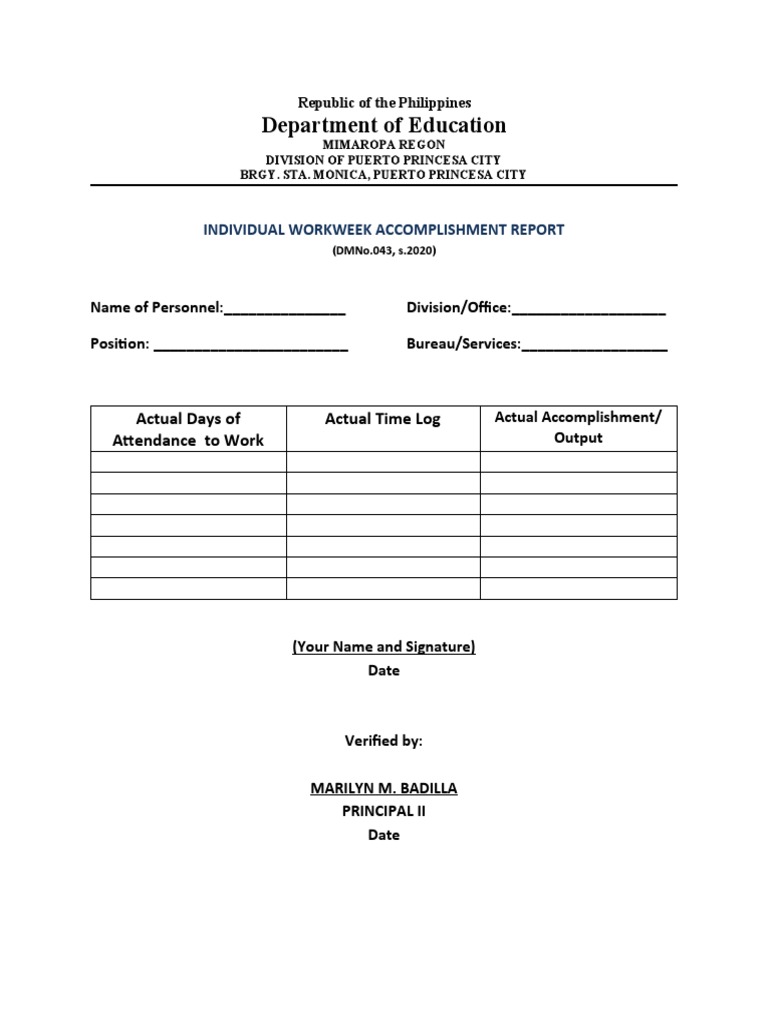 Individual Workweek Accomplishment Plan | PDF