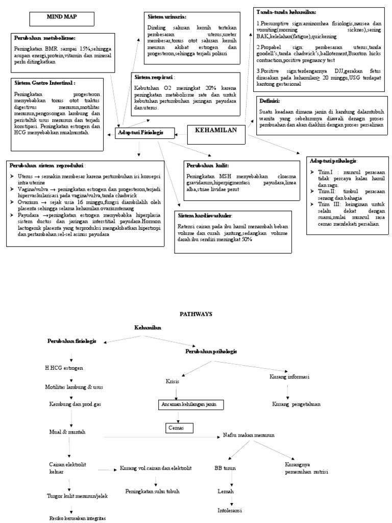 Mind Map Hamil | PDF