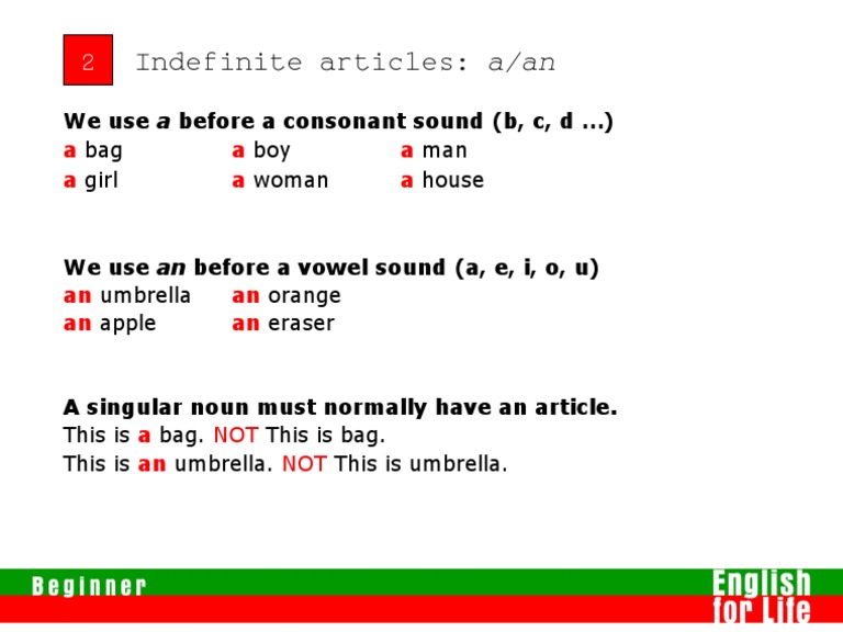 Indefinite Articles: A/An Usage | PDF