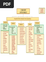 CORE Back Tool | PDF | Low Back Pain | Back Pain