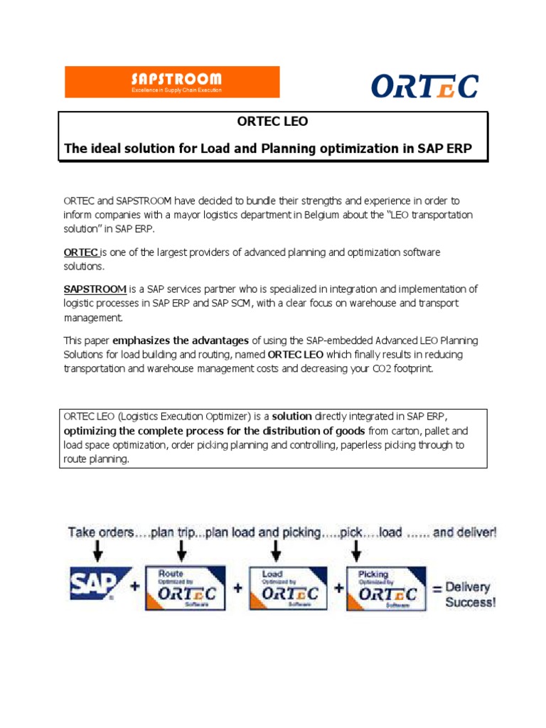 Ortec Leo The Ideal Solution For Load and Planning Optimization in SAP ...