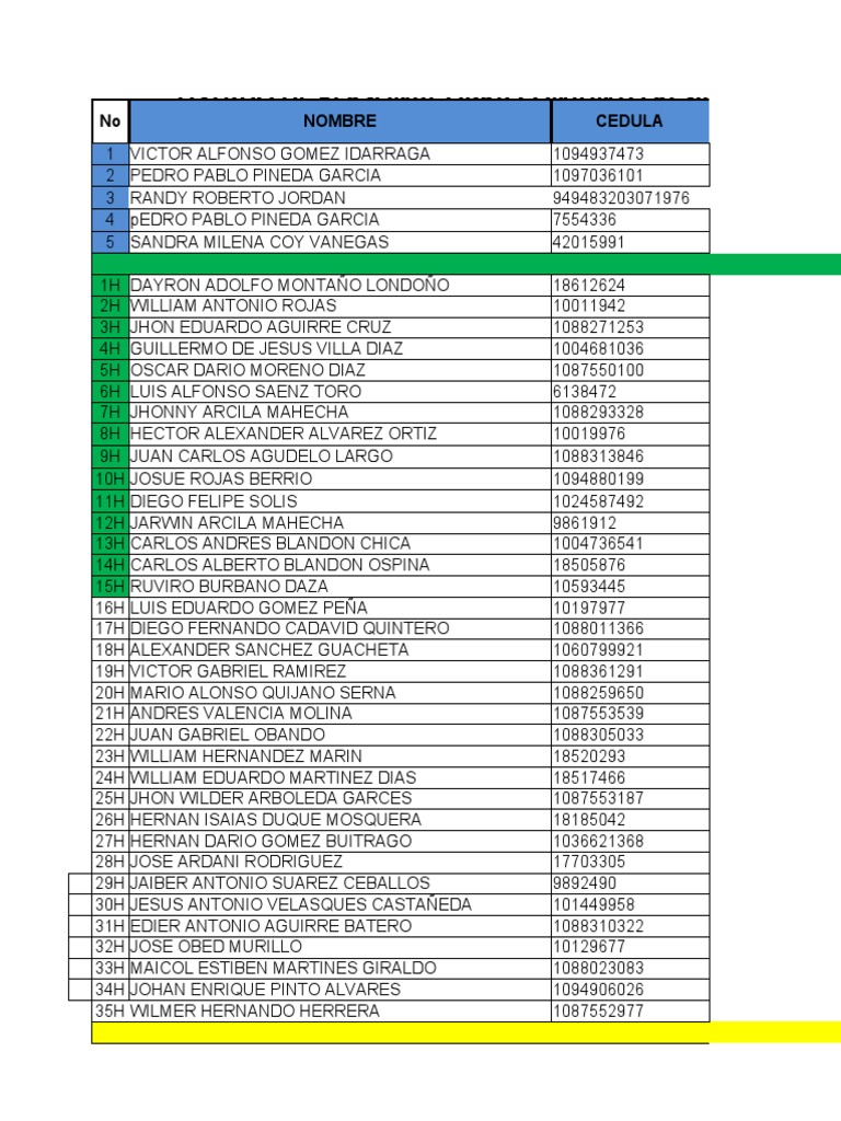 CHECK LIST PERSONAL para Carnets | PDF