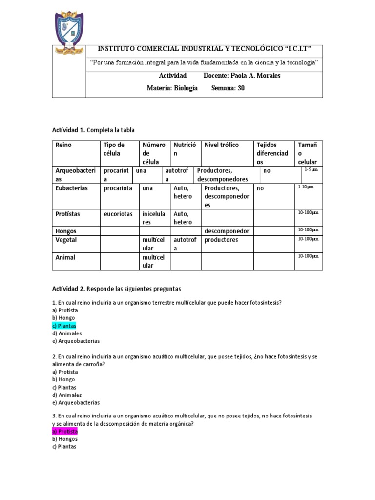 Actividad Clasificación de Los Seres Vivos | PDF | Plantas | Archaea