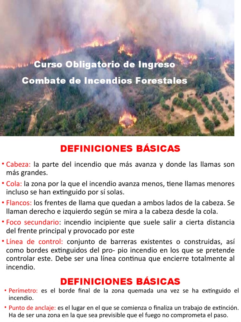 Tipos de Humo | PDF | Herida | Fuego fatuo